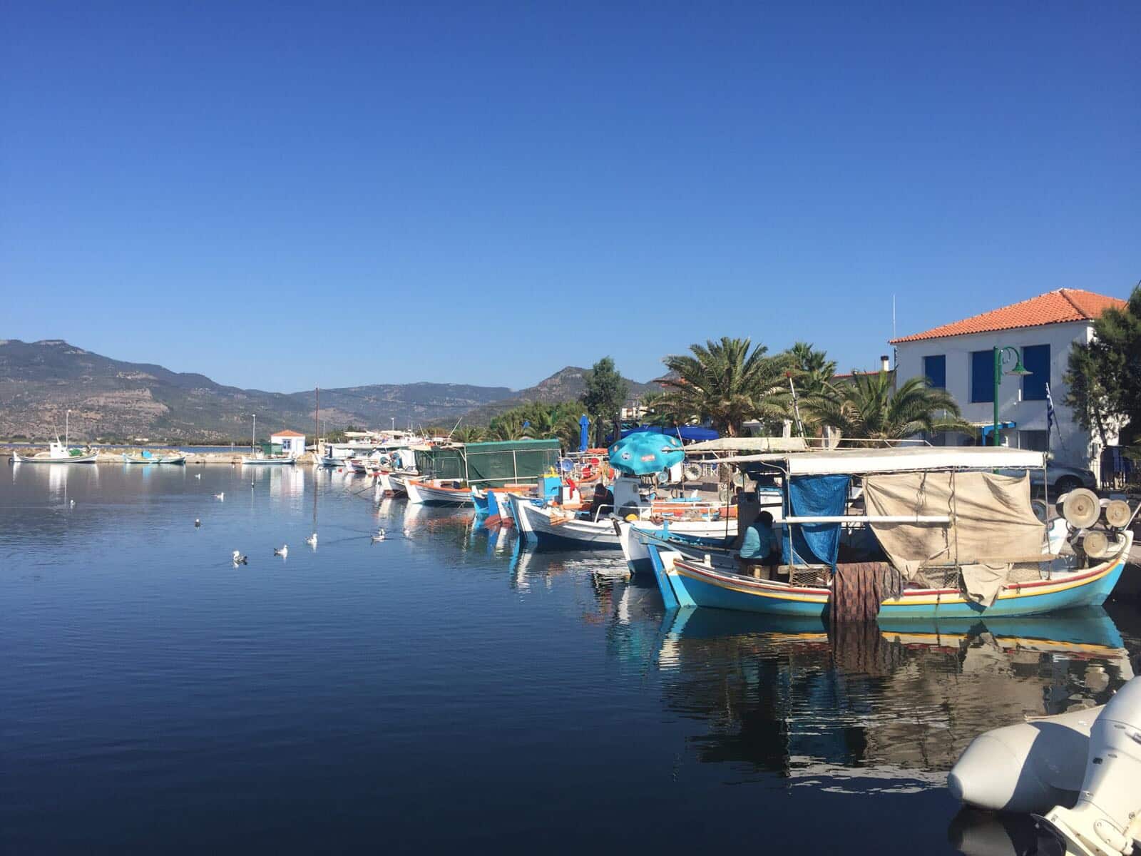 Lesbos & reisadvies - Organic Yoga Greece